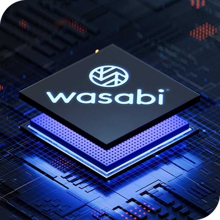Wasabi Cloud Storage | Fast, Affordable Data Solutions | Opti9